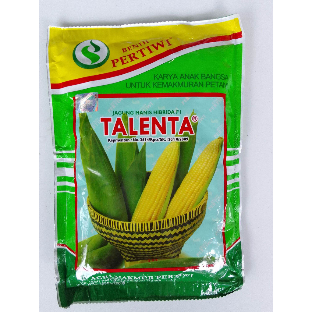 Jual Benih jagung TALENTA F1 250gram dari benih pertiwi jagung manis ...