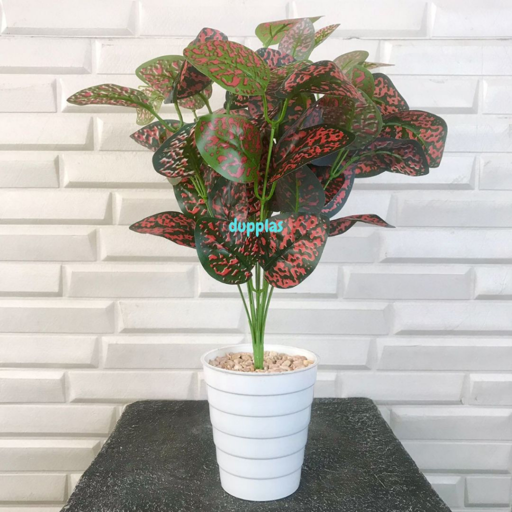 Jual Pohon Artificial Tanaman Hias Daun Aglonema Ruby X9 Pot Ulir ...