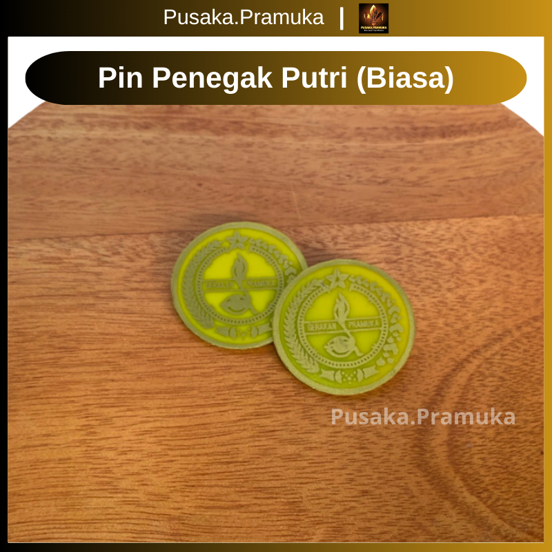 Jual Pin Topi Putra Putri Pramuka Siaga, Penggalang, Penegak / Pin Topi ...