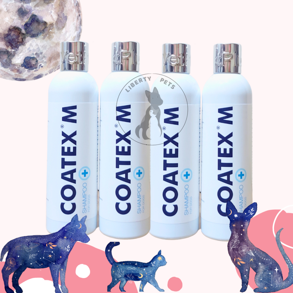 Jual Shampoo Coatex Medicated For Dogs Shampoo Anti Jamur untuk Anjing ...