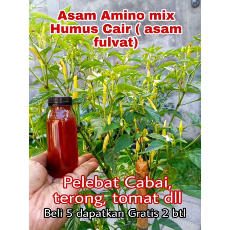 Jual Asam Amino plus Asam Fulvat humus cair || Untuk kalangan ...