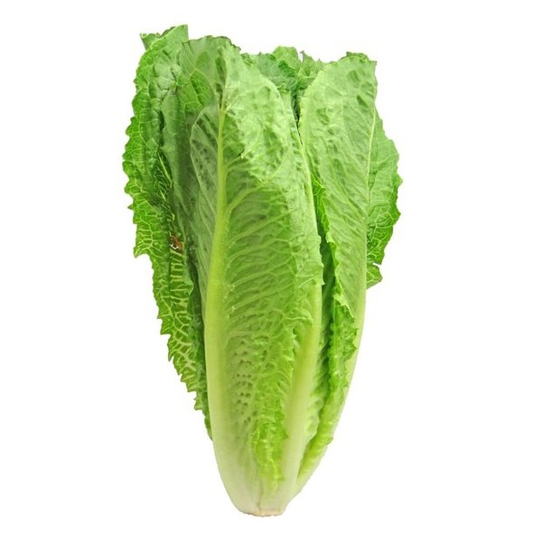 Jual Selada Romaine Lettuce 500 gr - 1 kg | Shopee Indonesia