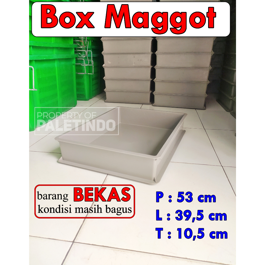 Jual Box Maggot Box Magot Box Sparepart Serbaguna 53 x 39,5 x 10,5 Cm ...
