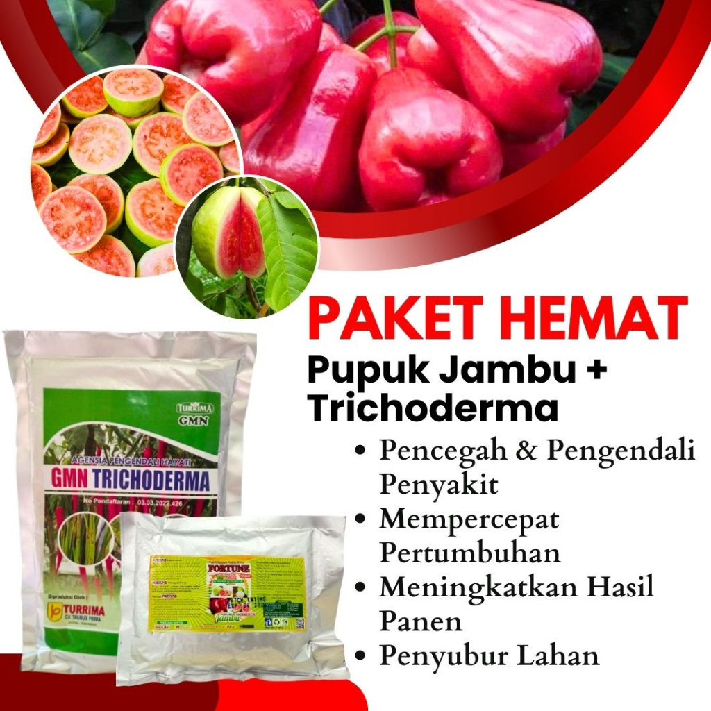 Jual Booster Jambu Air Cepat Berbuah, Obat Penyakit Busuk Buah Jambu ...