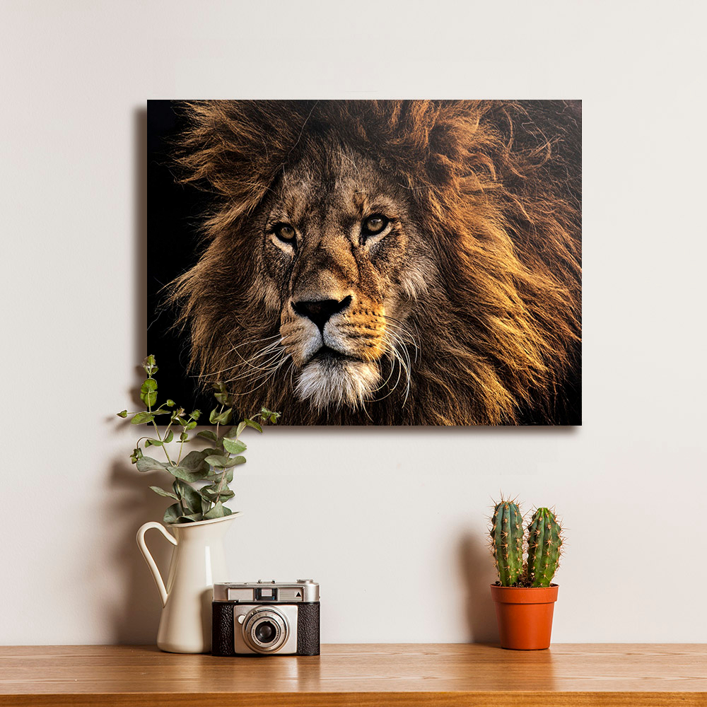 Jual Poster Singa Si Raja Hutan Wild 8 - Dekorasi Hiasan Dinding Kayu ...