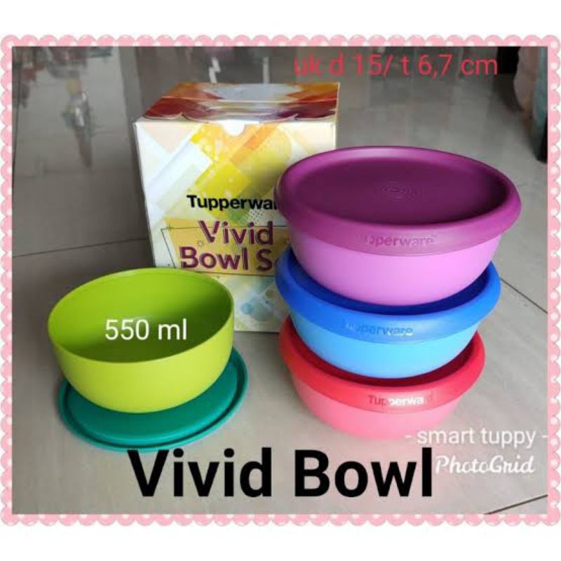 Jual vivid bowl Tupperware mangkok bertutup 500ml | Shopee Indonesia
