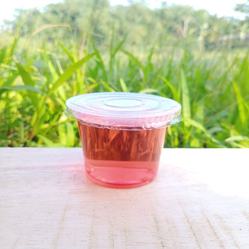 Jual cup agar 90ml , wadah agar plastik plus tutup isi 50pcs | Shopee ...