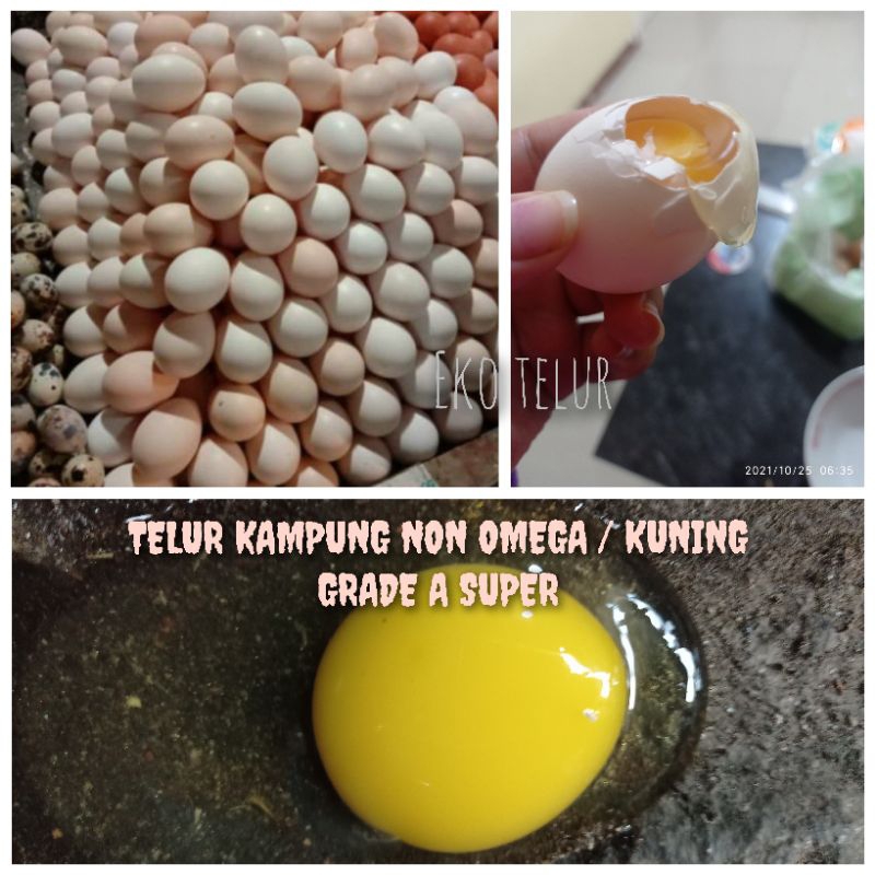 Jual Telur Ayam Kampung Kuning Asli Segar (Non Omega) "GRADE A ...