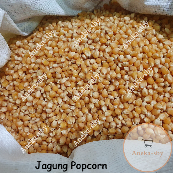 Jual jagung bigpop popcorn cap bunga merah 1kg | Shopee Indonesia