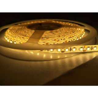 Jual LED Strip Light 5m/roll 2835 12W 12V 120 mata Warm White 4000K ...