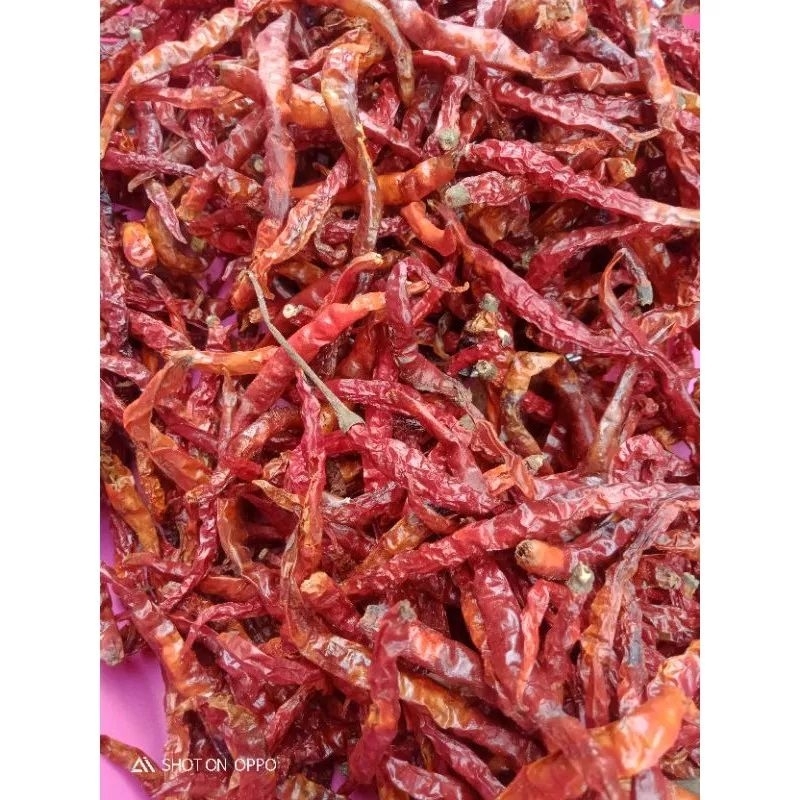Jual Cabe merah keriting kering 1kg | Shopee Indonesia