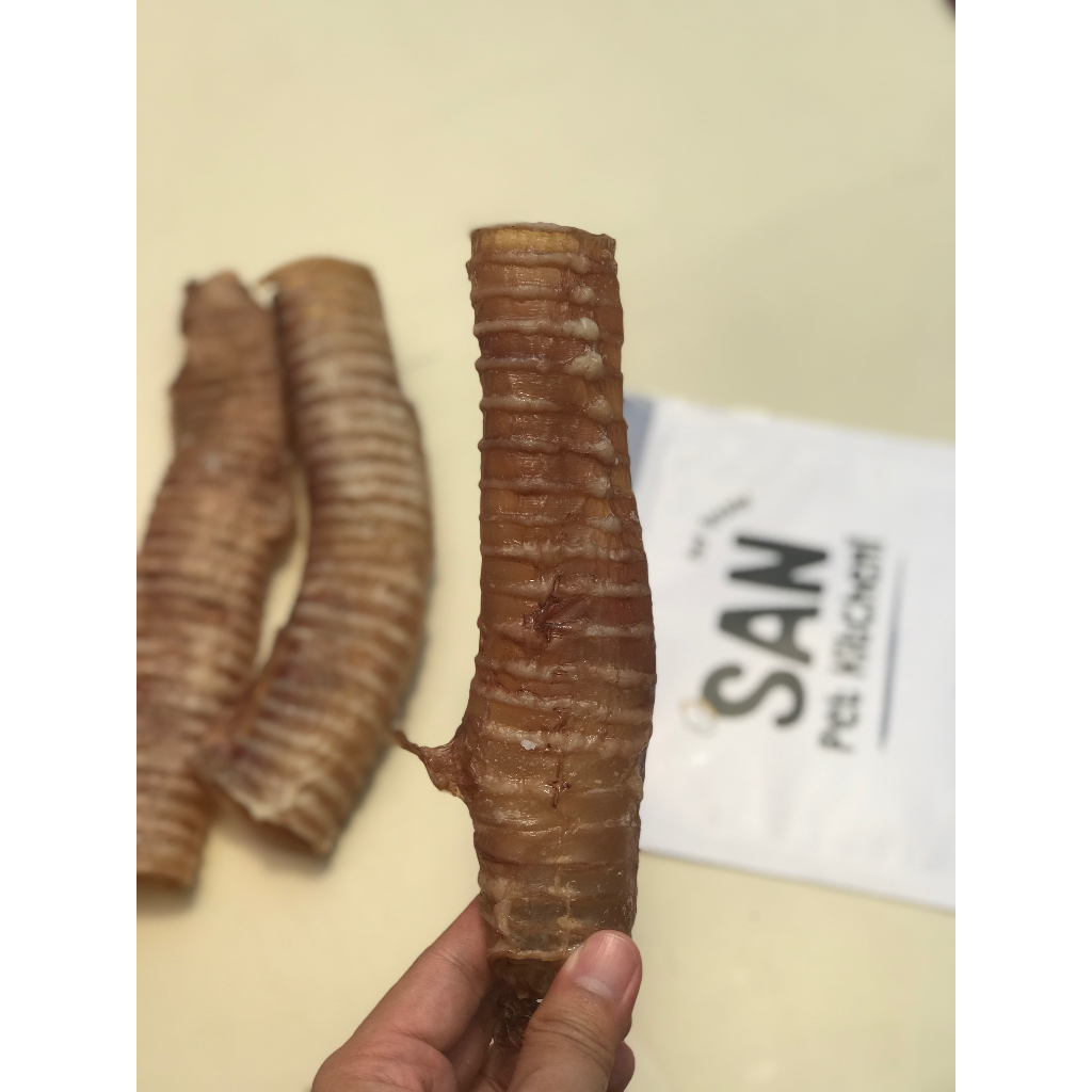 Jual DEHYDRATED BEEF TRACHEA BY SAN PET KITCHEN (SNACK KERING ...