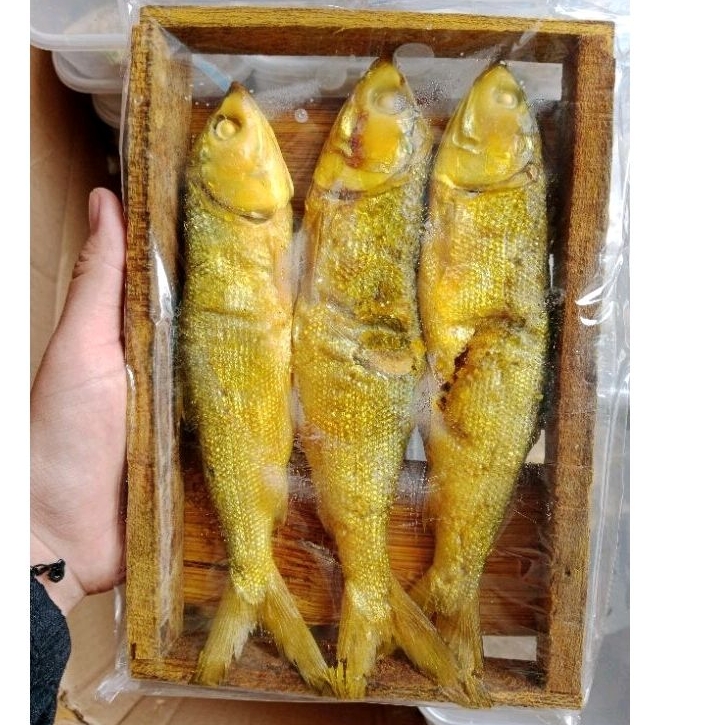Jual Bandeng Pindang / Bandeng Tulang Lunak / Ikan Presto | Shopee ...