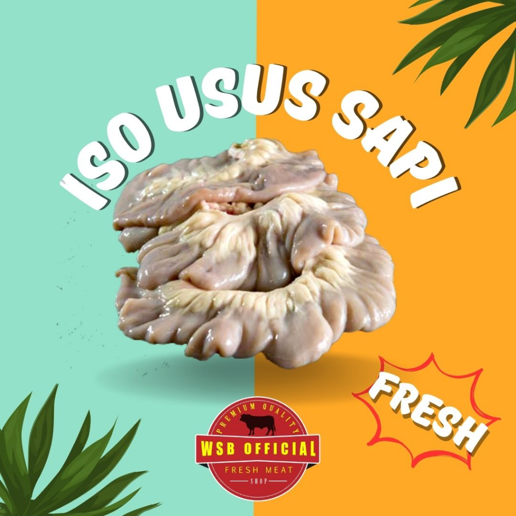 Jual Usus Sapi Lokal Iso Segar | Shopee Indonesia