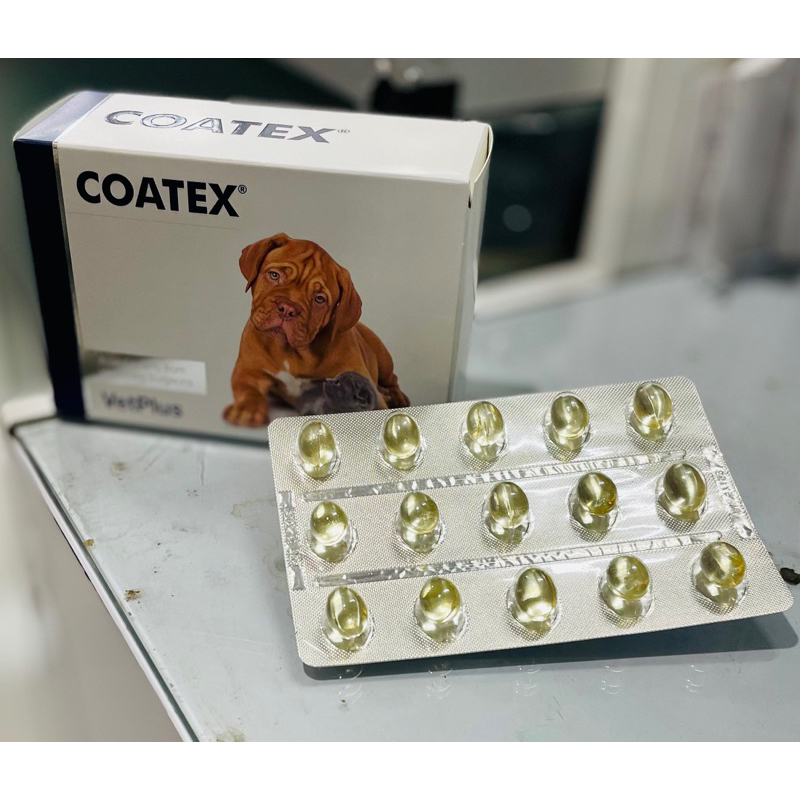 Jual Coatex 15 soft gel capsules | Shopee Indonesia