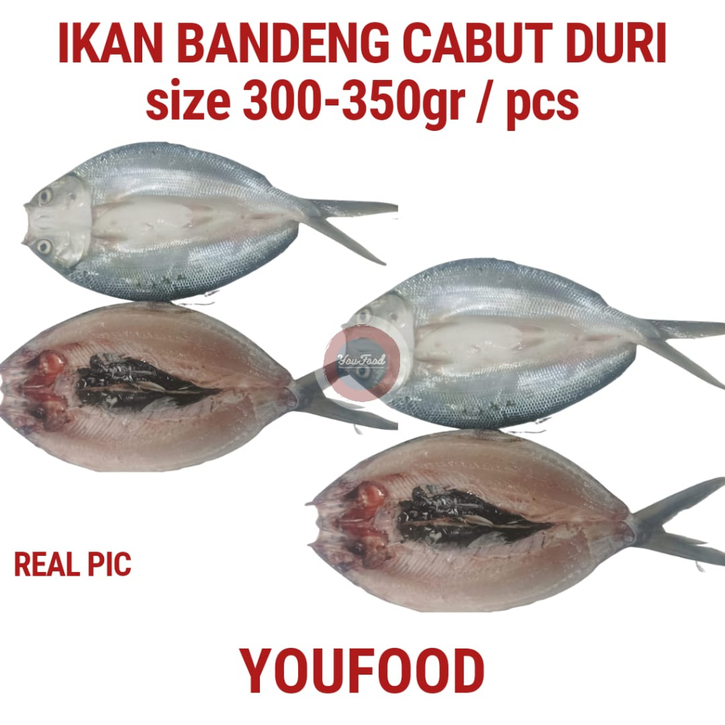 Jual Ikan Bandeng Cabut Duri - Bandeng Tanpa Duri Frozen | Shopee Indonesia