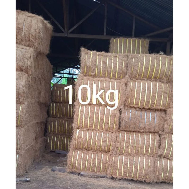 Jual Sabut Kelapa Serabut Kelapa berat 10kg | Shopee Indonesia