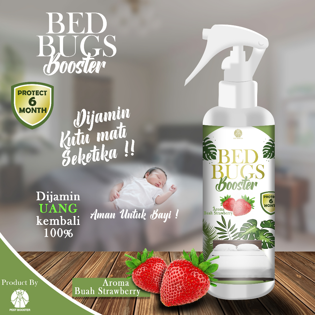 Jual Bed Bugs Booster Spray Melindungi 6 Bulan!! Strawberry Membasmi ...