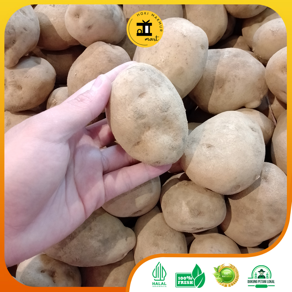 Jual KENTANG DIENG BESAR PREMIUM 500 GR - 1 KG | KENTANG FRIED FRIES ...