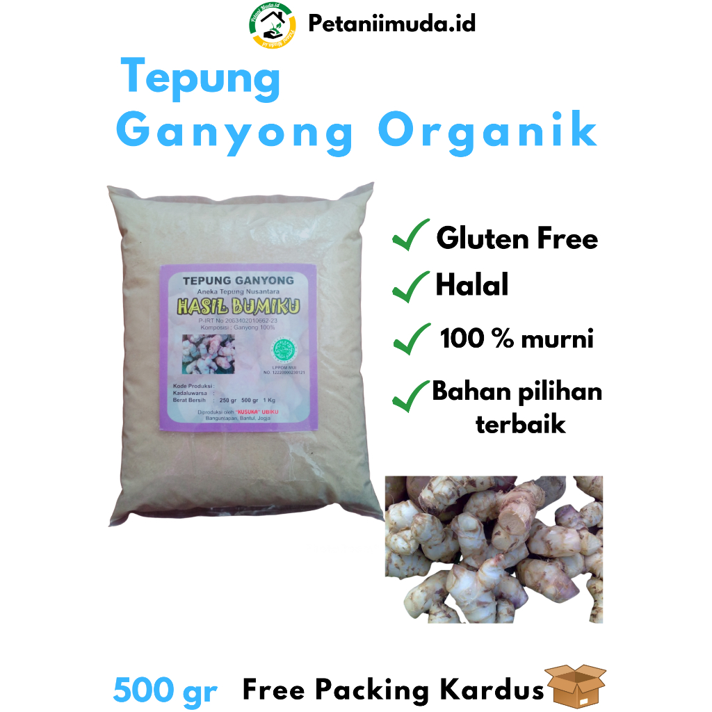 Jual Tepung Ganyong Organik kemasan 500 GRAM/Tepung Umbi Ganyong ...