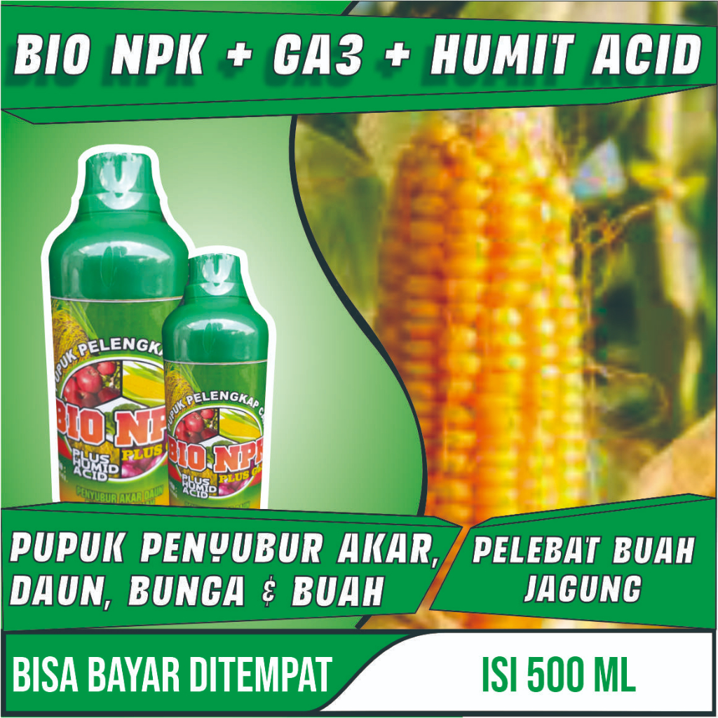 Jual BIO NPK MURAH PUPUK NPK Cair TERBAIK MELEBATKAN JAGUNG Buah Jagung Menjadi Lebat dan Besar ...
