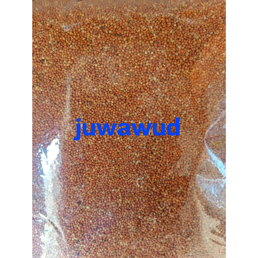Jual Biji Jewawut/Juwawut/Jawawut/Foxtail Millet | Shopee Indonesia