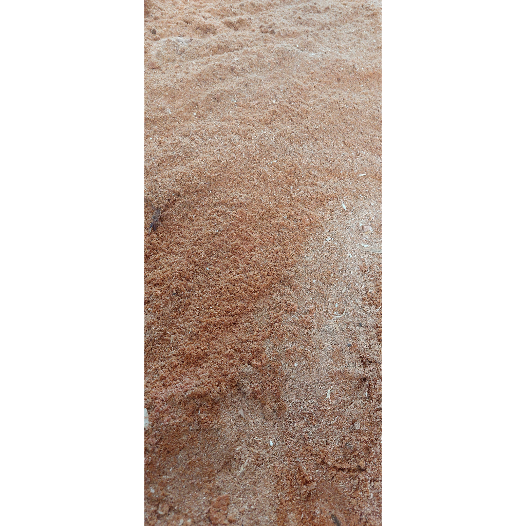 Jual Serbuk Kayu Umput Gergaji halus Kayu Pinus 500gram | Shopee Indonesia