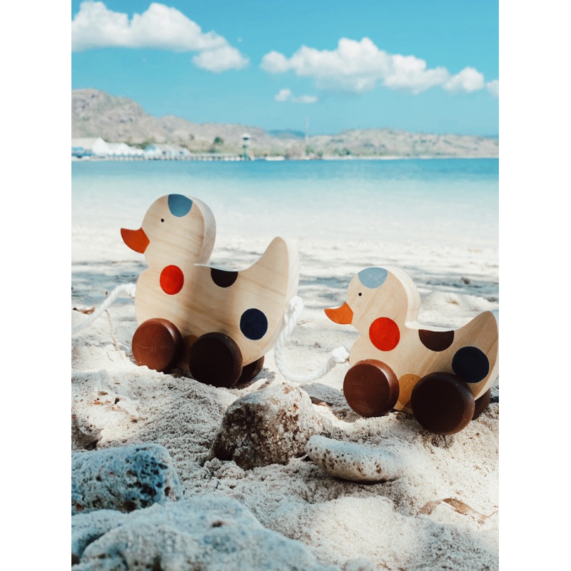 Jual NEW Wooddo Walking Ducks | Push Pull Toys | Wooden Toys | Mainan ...