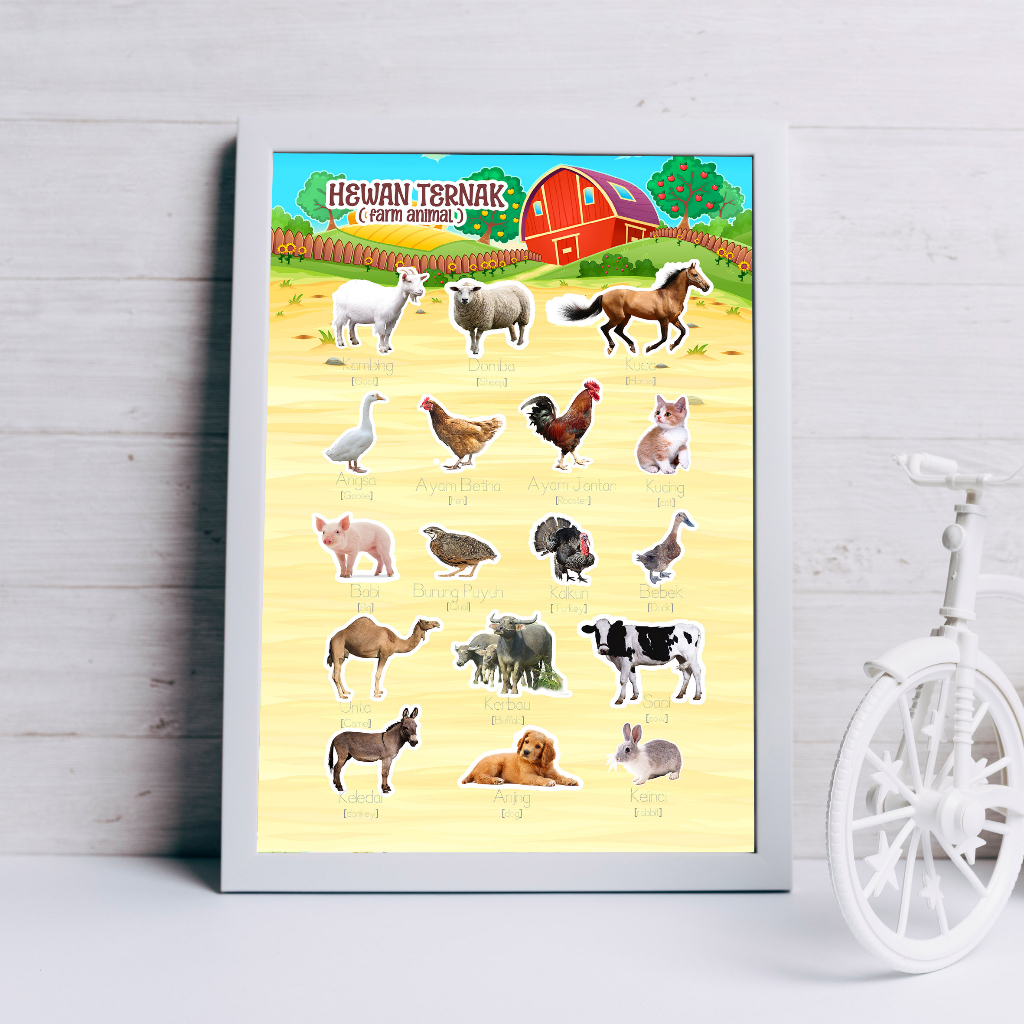 Jual Poster dinding mengenal hewan ternak mainan edukasi anak aestetic ...