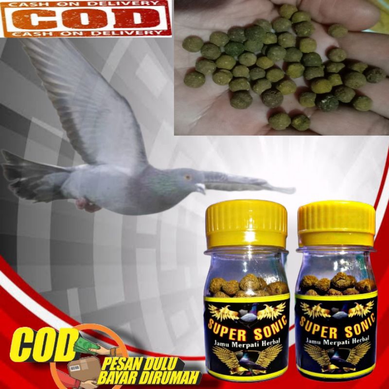 Jual JAMU MERPATI SUPER SONIC ISI 50 BUTIR extra power speed doping ...