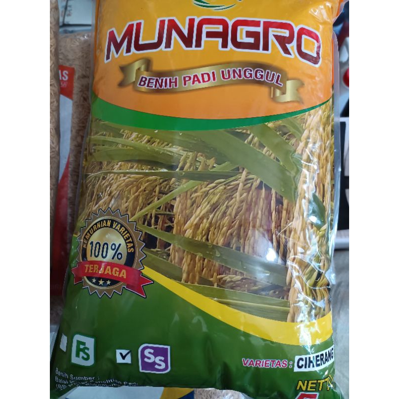 Jual Benih Padi Ciherang Label Ungu Munagro 5Kg | Shopee Indonesia