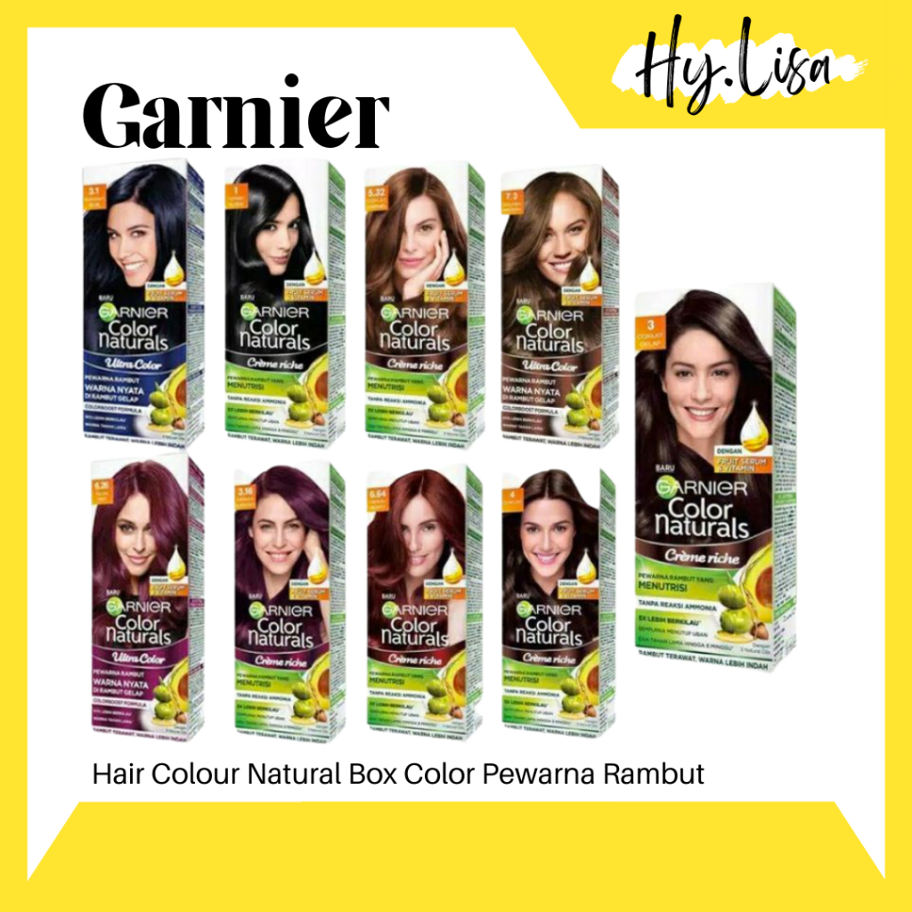 Jual Garnier Hair Colour Natural Box Color Pewarna Rambut FULL SIZE ...