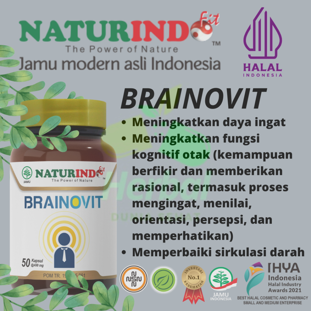 Jual Obat Herbal Peningkat Daya Ingat Anak Kesehatan Otak Anak ...