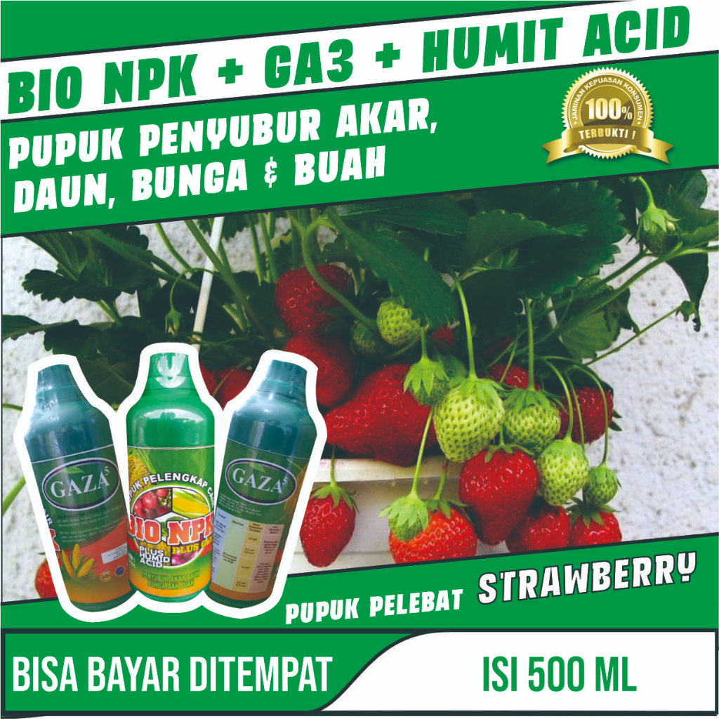 Jual Pupuk Stroberi Biar Berbuah Lebat BIO NPK PLUS GA3 500ML Pupuk NPK Cair untuk Tanaman ...