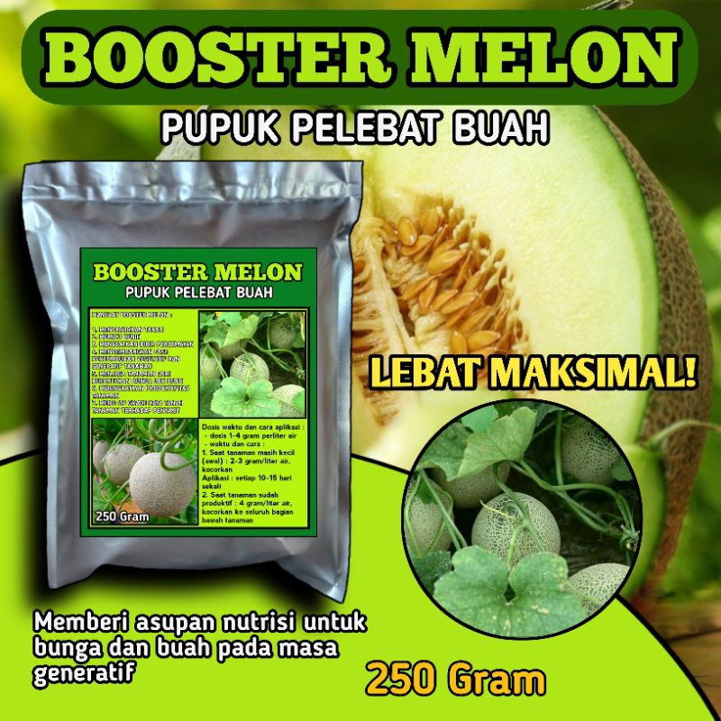 Jual Pupuk booster pelebat buah melon nutrisi untuk bunga dan buah anti rontok kemasan 250 gram ...