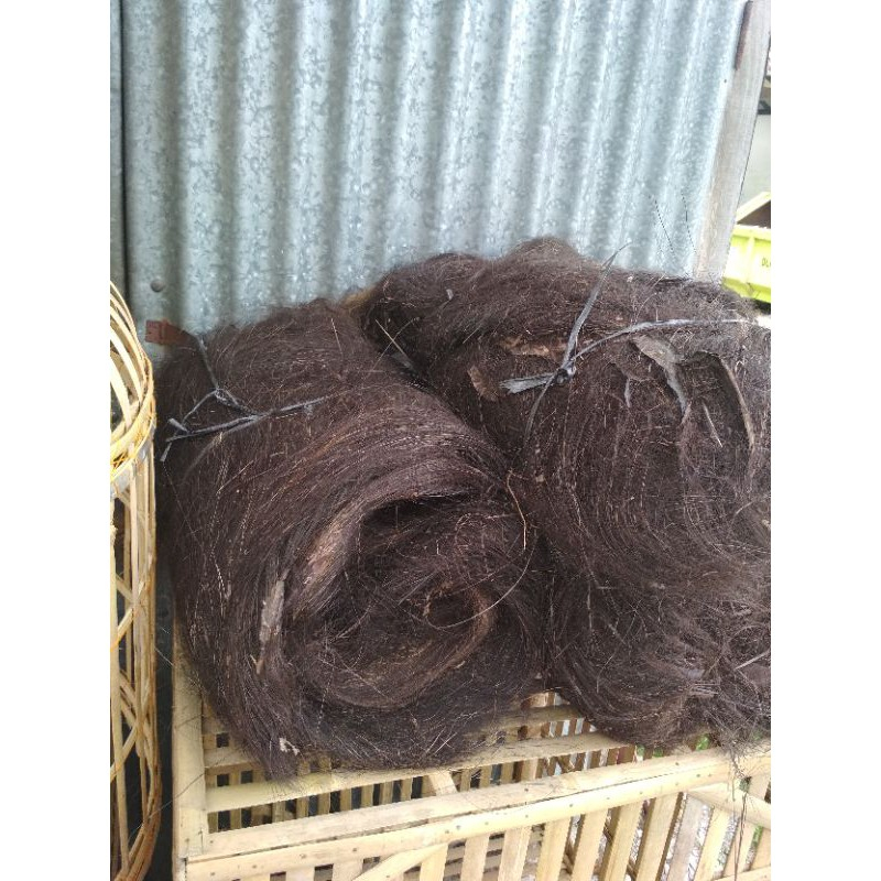 Jual Ijuk Aren Kakaban - Ijuk berharupat/berduri - untuk menempelnya ...