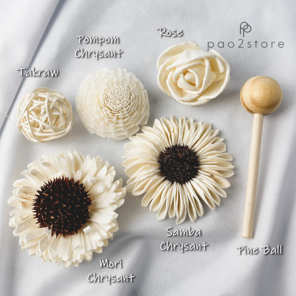 Jual Bunga Reed Diffuser - Sola Flower - Kering / Dried Klobot Wood ...