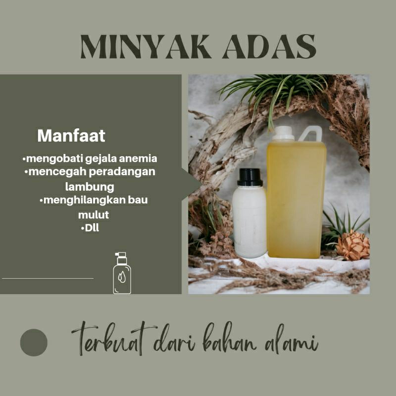 Jual Minyak Adas Murni/ Fennel Essential oil kemasan 10 ml - 100 ml ...