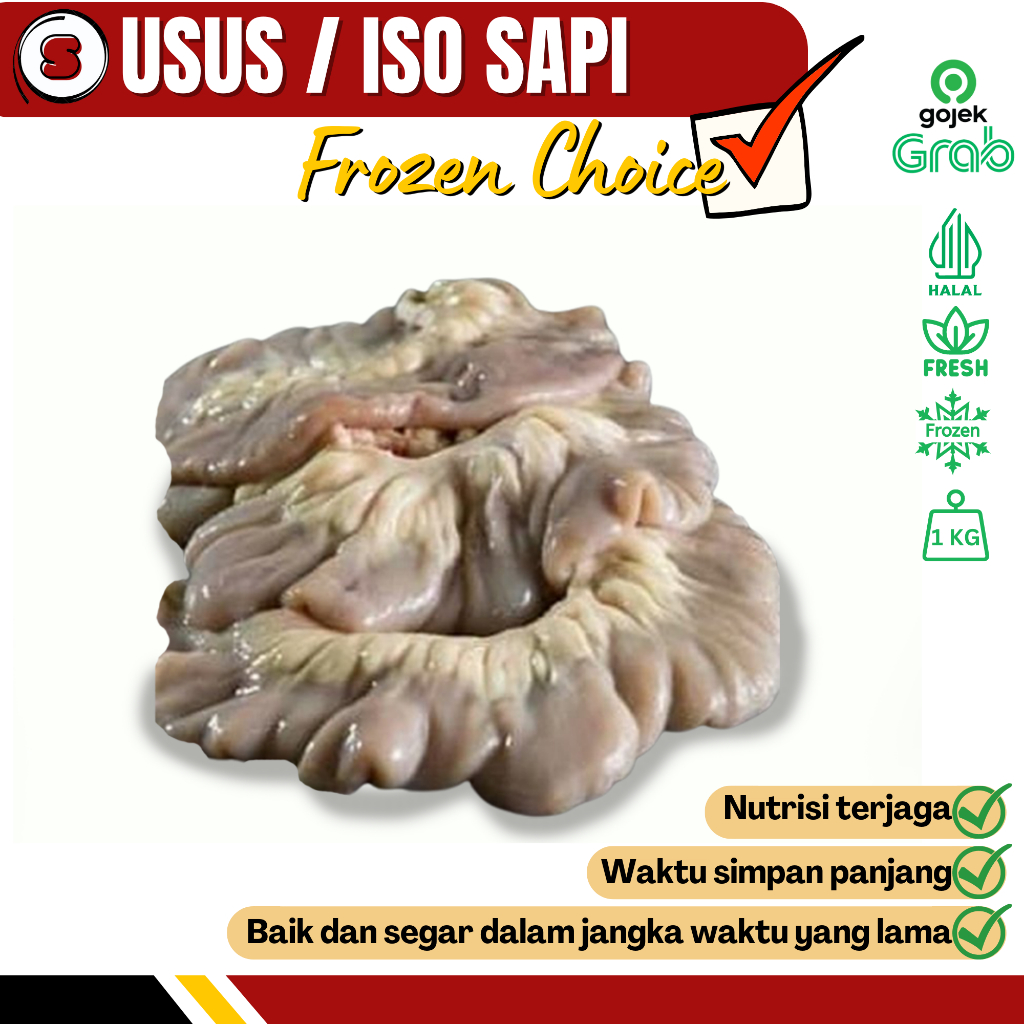 Jual Sapina Daging Jeroan Sapi Usus Besar Sapi / Iso / Daechang Halal ...