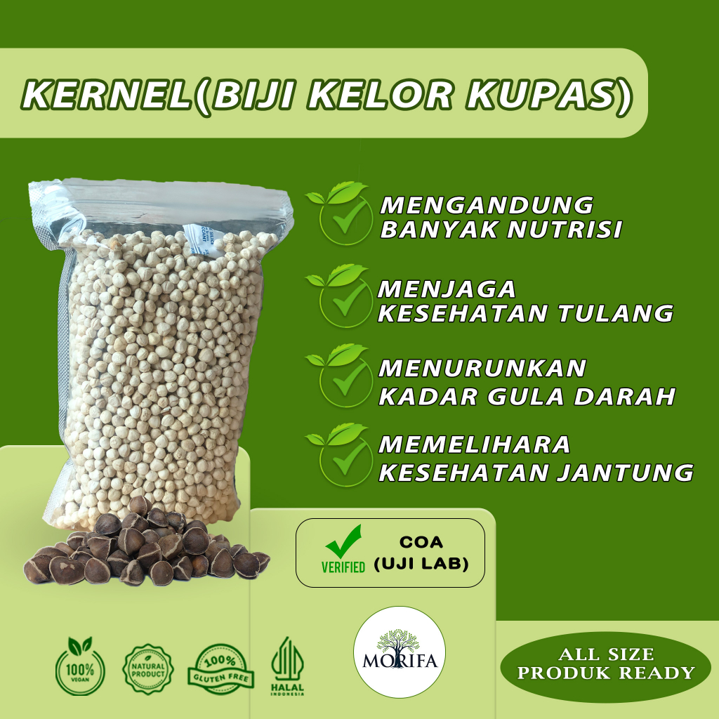 Jual Biji Kelor Kupas Organik Kernel Moringa Seeds Kualitas Export ...