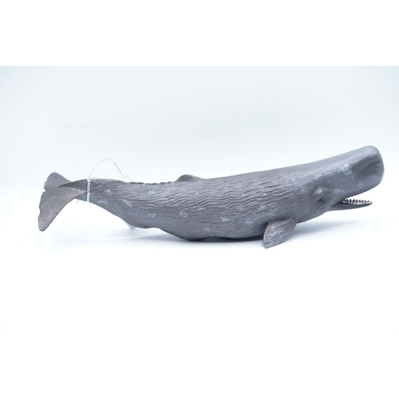 Jual Sperm Whale Paus Animal Figure Binatang Mainan Edukasi Anak ...