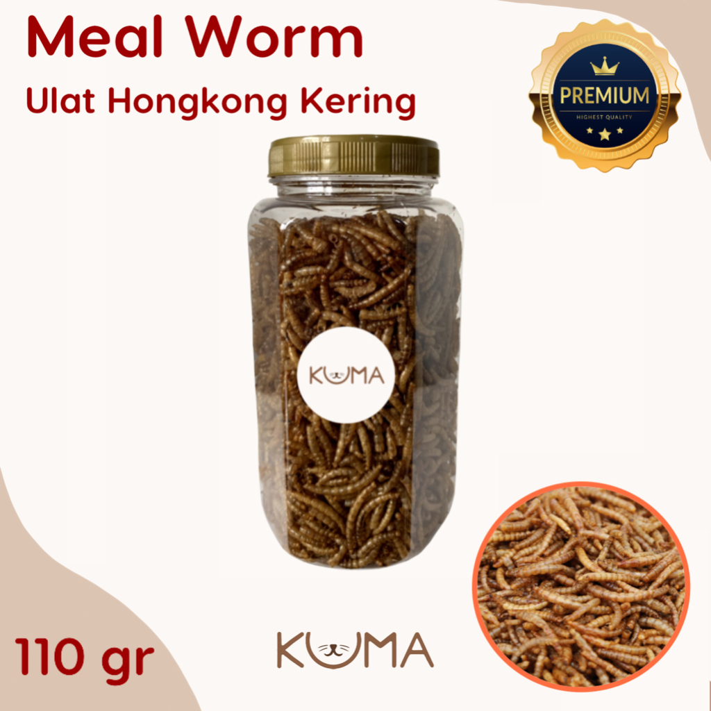 Jual [KUMA] DRIED MEAL WORM Ulat Hongkong Kering 110 Gr Premium ...