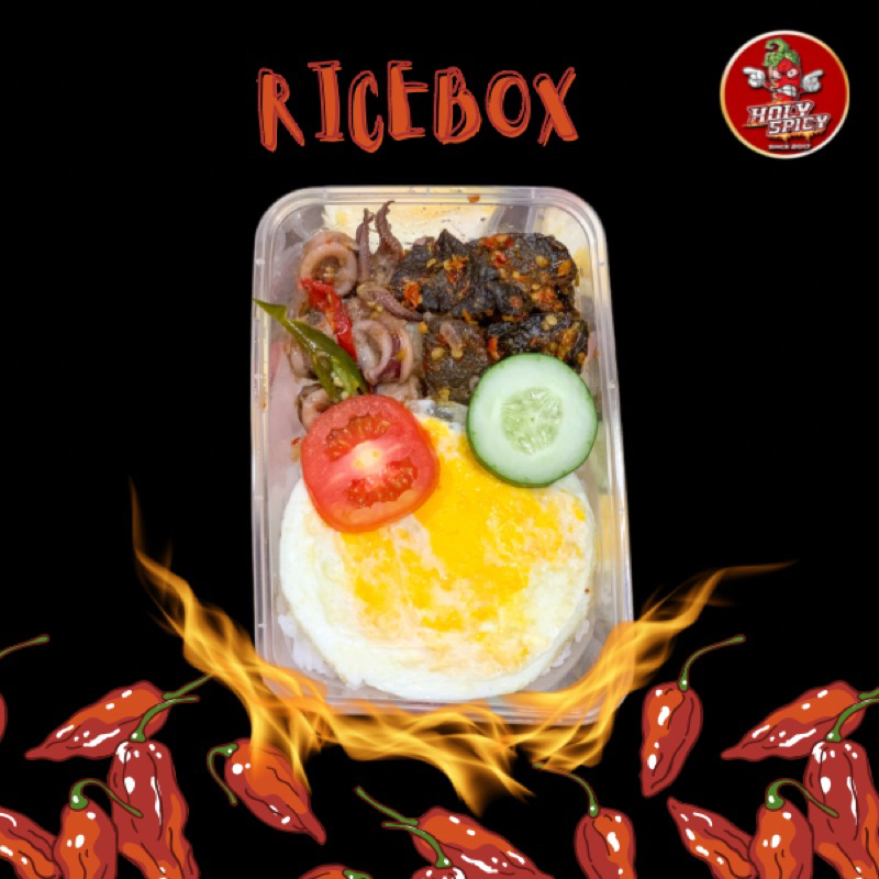 Jual RICE BOX MIX 2 LAUK | Shopee Indonesia