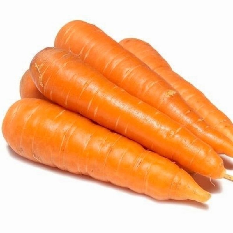 Jual Replika Buah wortel (1pcs ) / sayuran wortel / Vegetarian / Mainan ...