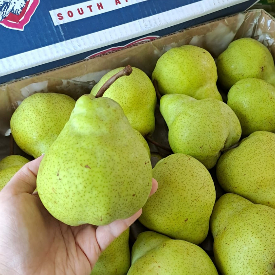 Jual Pear Packham Afrika/ Buah Import Segar/ Pir | Shopee Indonesia