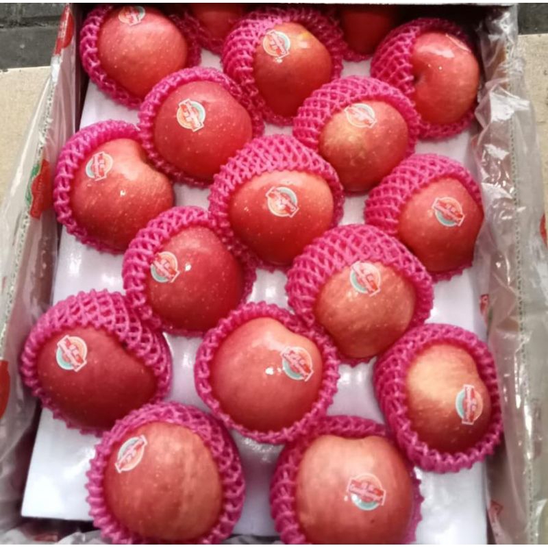 Jual Indukbuah Buah Apel Fuji Good Farmer 1 Dus isian 88 ±17kg | Shopee ...