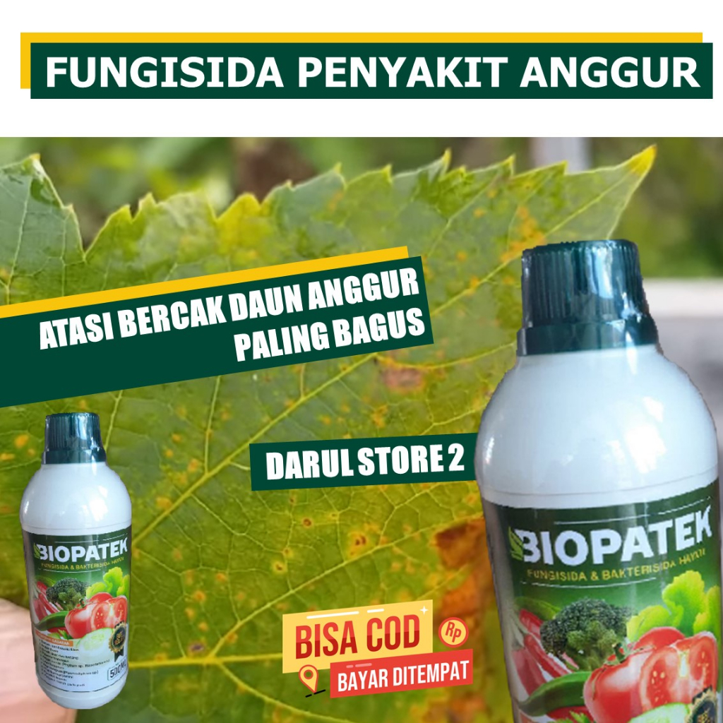 Jual Fungisida BERCAK DAUN ANGGUR PALING AMPUH - Obat Organik Atasi ...