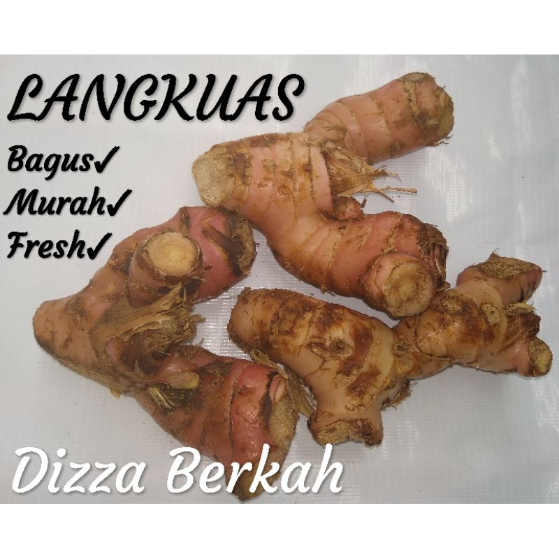 Jual Langkuas/Lengkuas/Laos/250gr/bagus/fresh/Dizza Berkah | Shopee ...