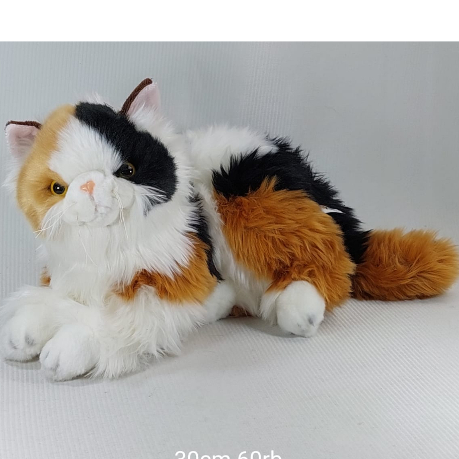 Jual BONEKA BINATANG PREMIUM KUCING PERSIA/ KUCING RED TABBY CUTE SOFT ...