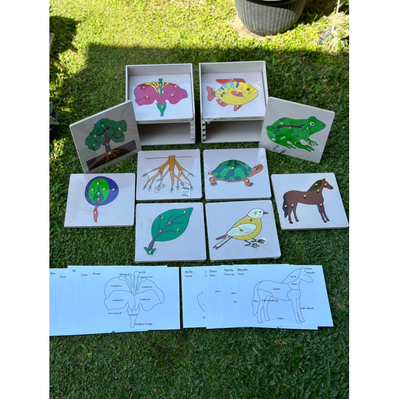Jual Montessori Zoology set Puzzle (5pc+cabinet+printable) / Puzzle ...